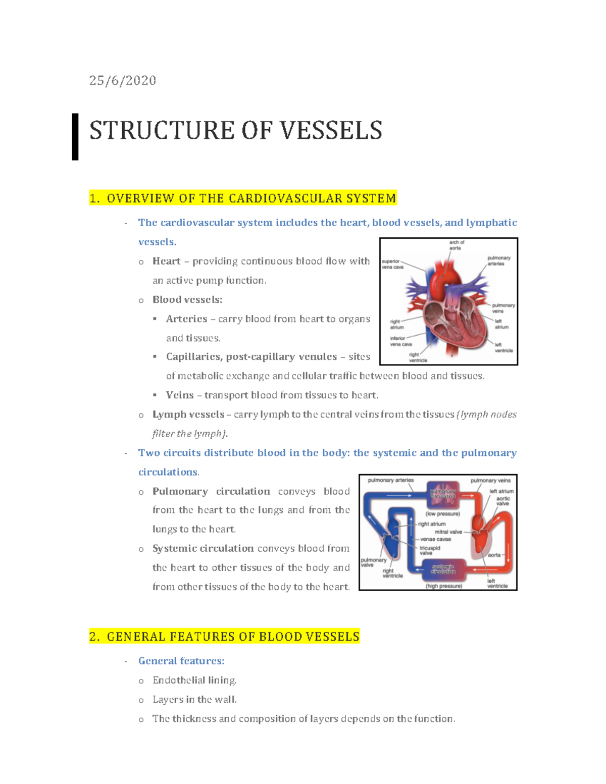 Structure of Blood Vessels - 25/6/ STRUCTURE OF VESSELS 1. OVERVIEW OF ...