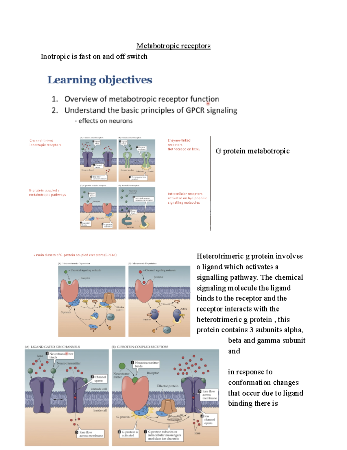 Metabotrophic receptors complete set of notes - Metabotropic receptors ...