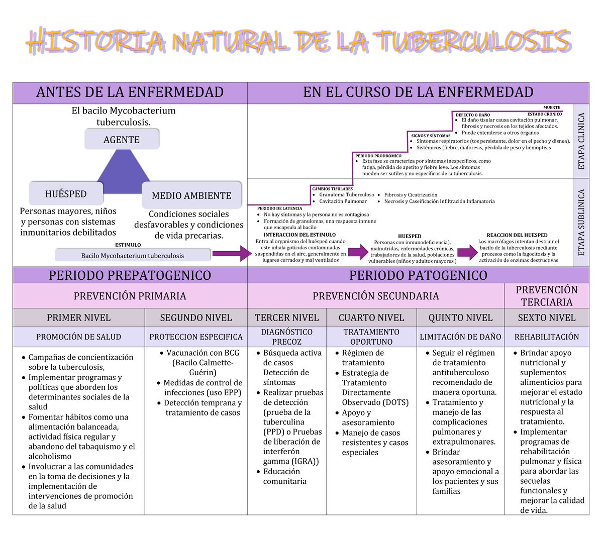 Historia Natural DE LA Tuberculosis - ANTES DE LA ENFERMEDAD EN EL ...