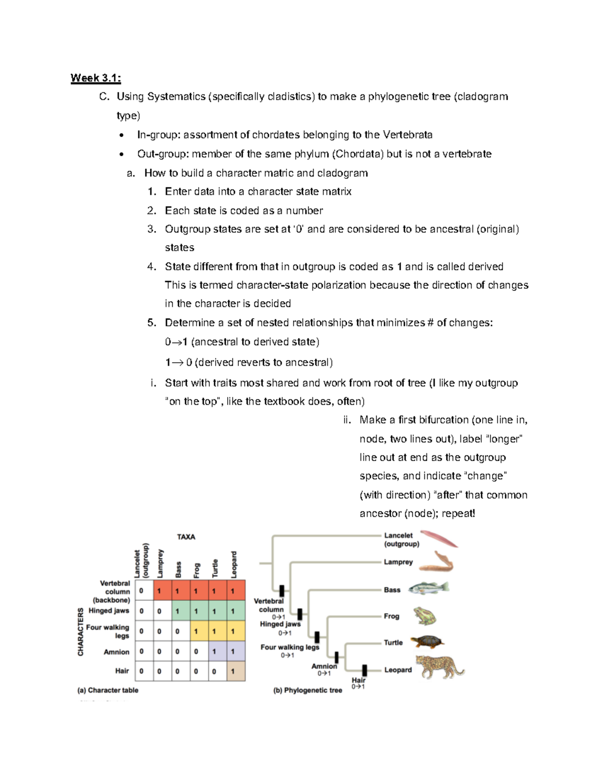 Lecture 6. Week 3. BIOL 108 Evolution - Week 3: C. Using Systematics ...