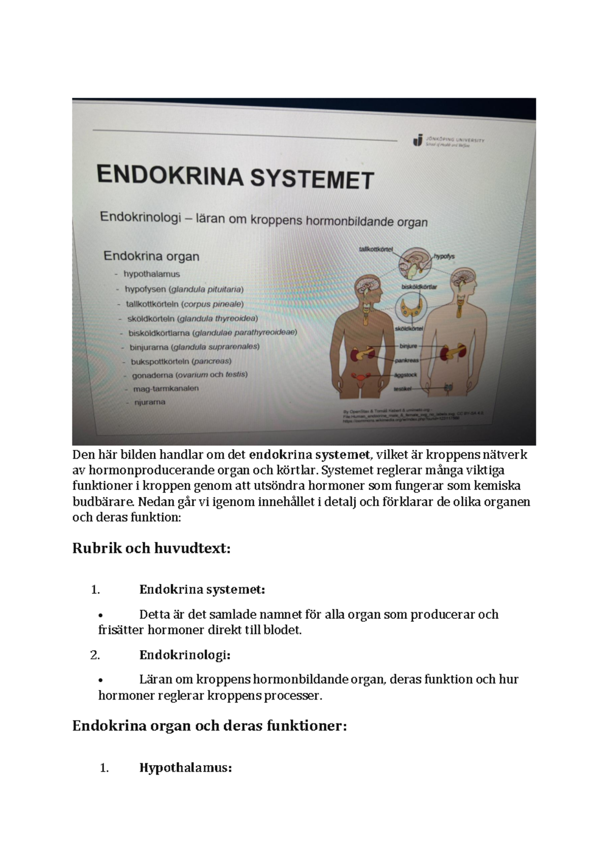 Endokrina samling - Den här bilden handlar om det endokrina systemet ...