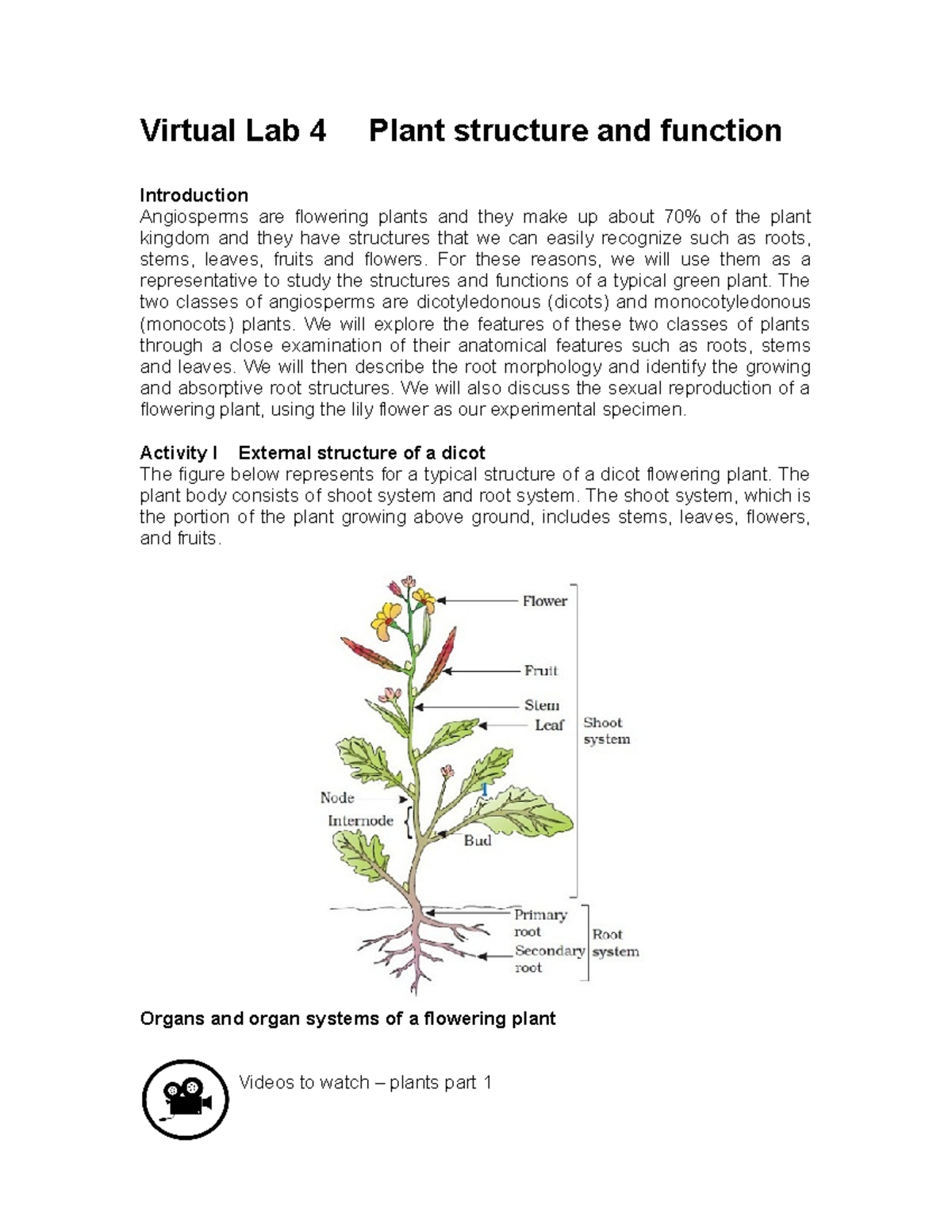 Virtual Lab 4 Worksheet Plant Structure And Function Virtual Lab 4 