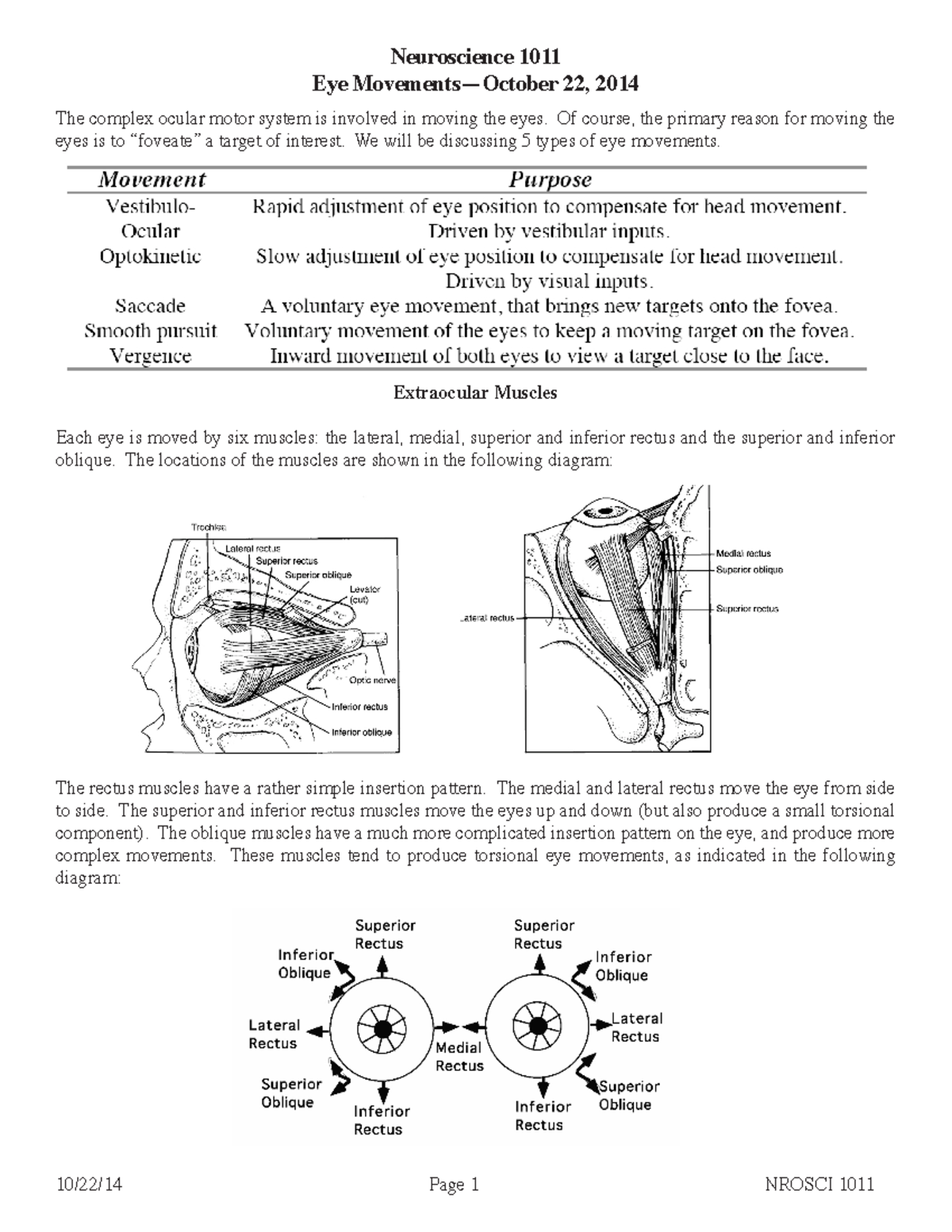 Eye Movements 14 - Dr. Sesack - Neuroscience 1011 Eye Movements—October ...