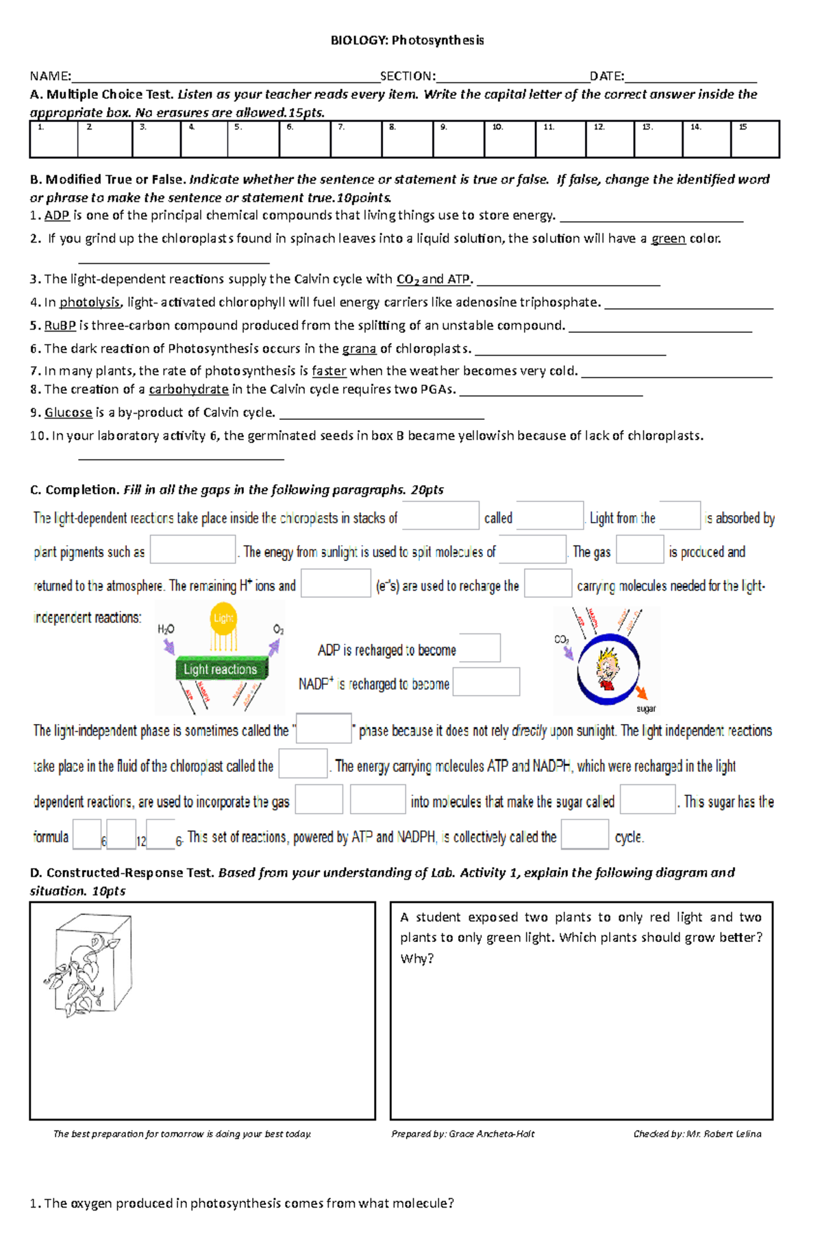 Photosynthesis - Practice worksheets and study materials - BIOLOGY ...