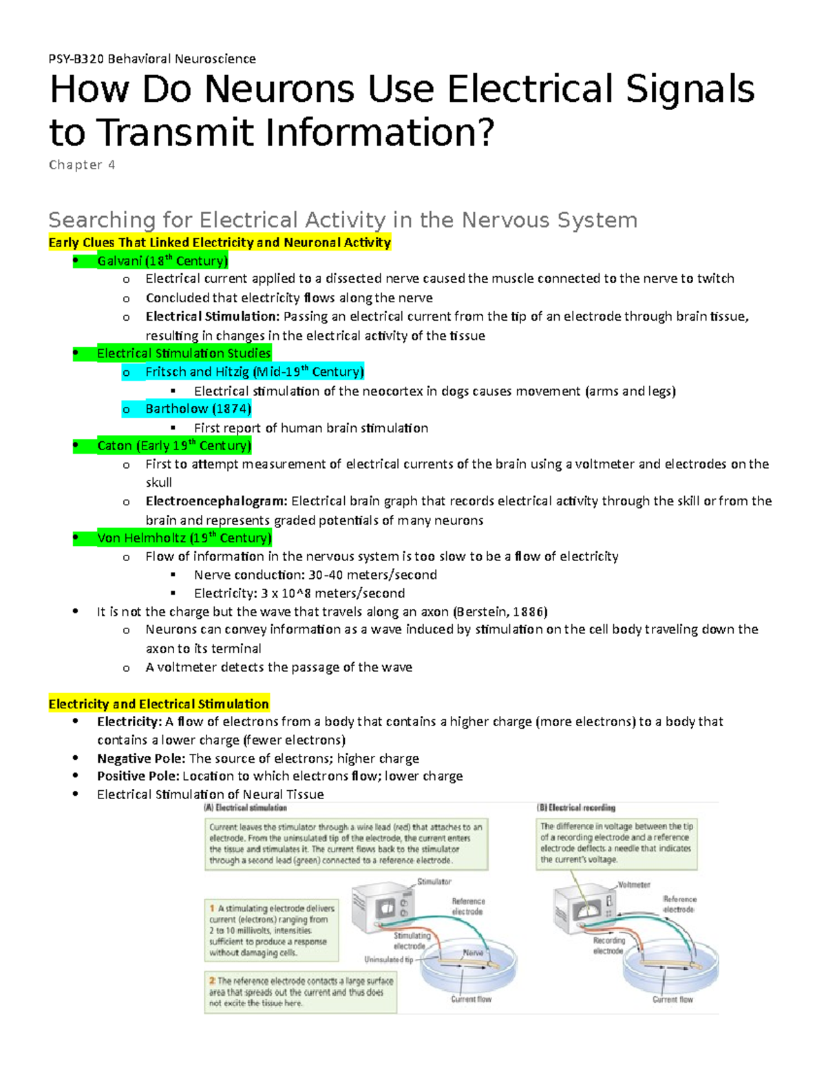 How Do Neurons Use Electrical Signals to Transmit Information - How Do ...