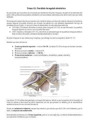 TEMA 2 fin - TEMA 2-FORMAS ESPÁSTICAS PCI: TETRAPLEJIA, DIPLEJIA Y ...