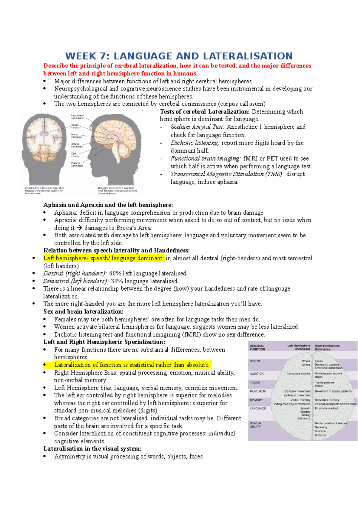 Lecture 7- Language and Lateralisation - WEEK 7: LANGUAGE AND ...