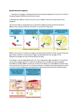 Kap4-Antibody structure and the generation of B-cell diversity - og ...