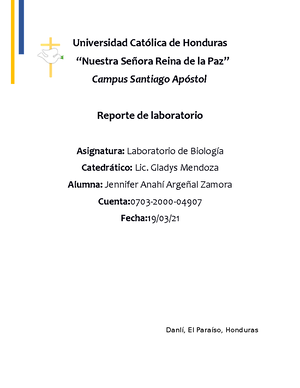 Ejercicios Aiepi - Christopher Bustillo - 16 aiepi Atención Integrada a ...