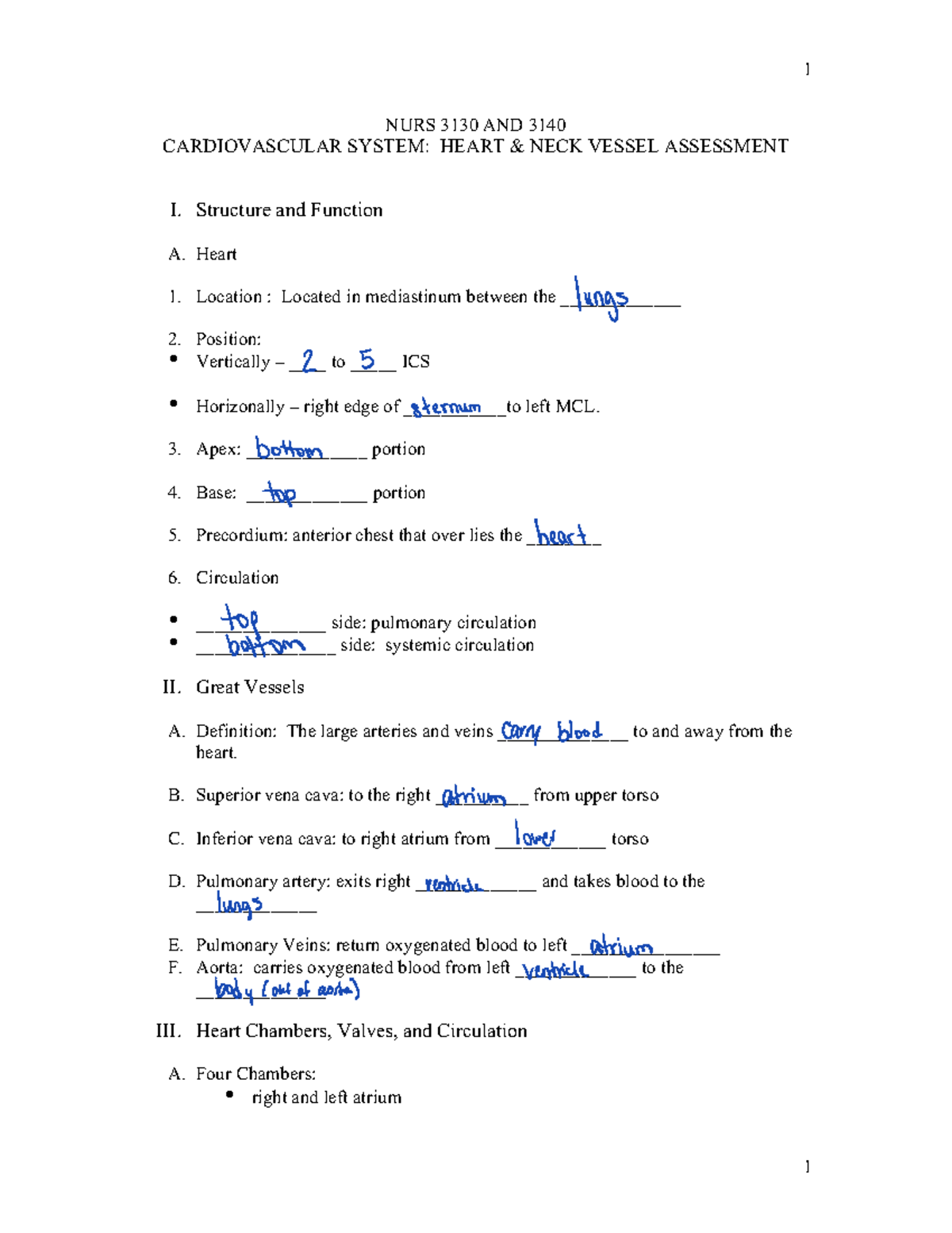Heart Homework - NURS 3130 AND 3140 CARDIOVASCULAR SYSTEM: HEART & NECK ...