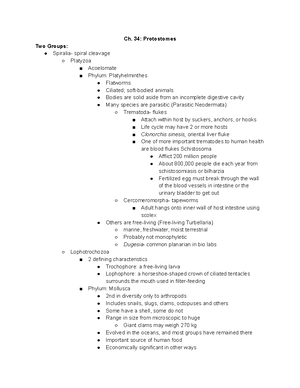 POB 2 Exam 2 Study Guide - Fungi 1. Vocabulary you should know a. Hypha ...