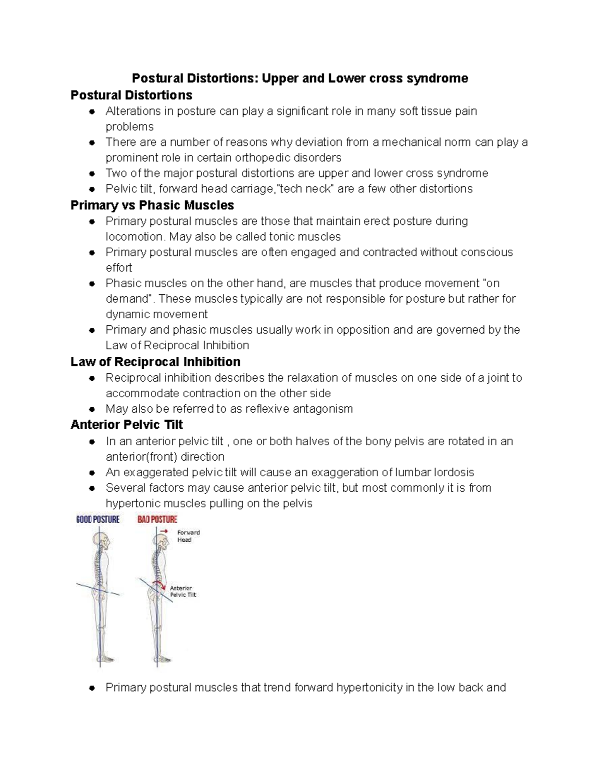 Western 2 Lecture 2 - Postural Distortions: Upper and Lower Cross ...
