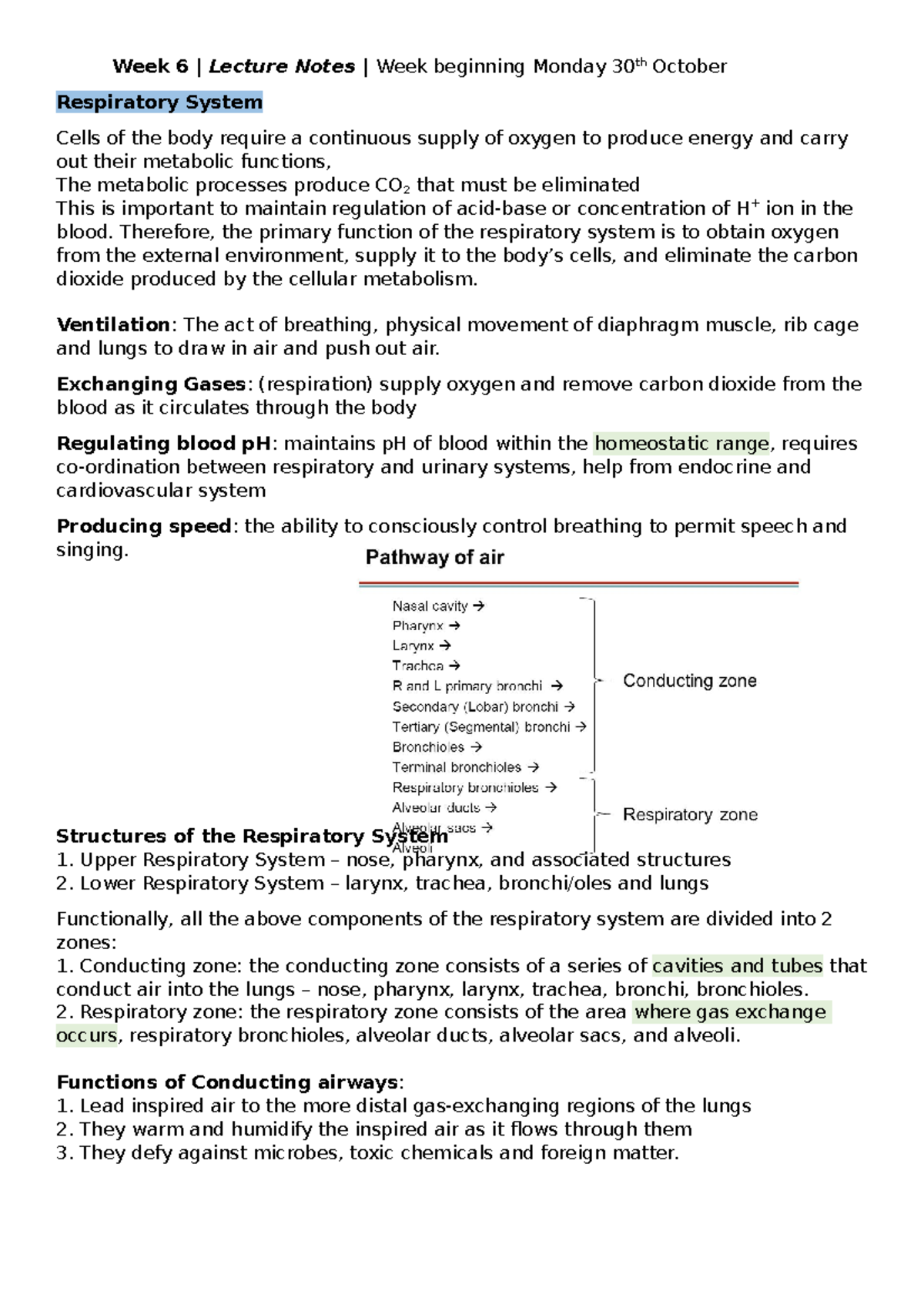 Respiratory System and Ventilation - Week 6 | Lecture Notes | Week ...