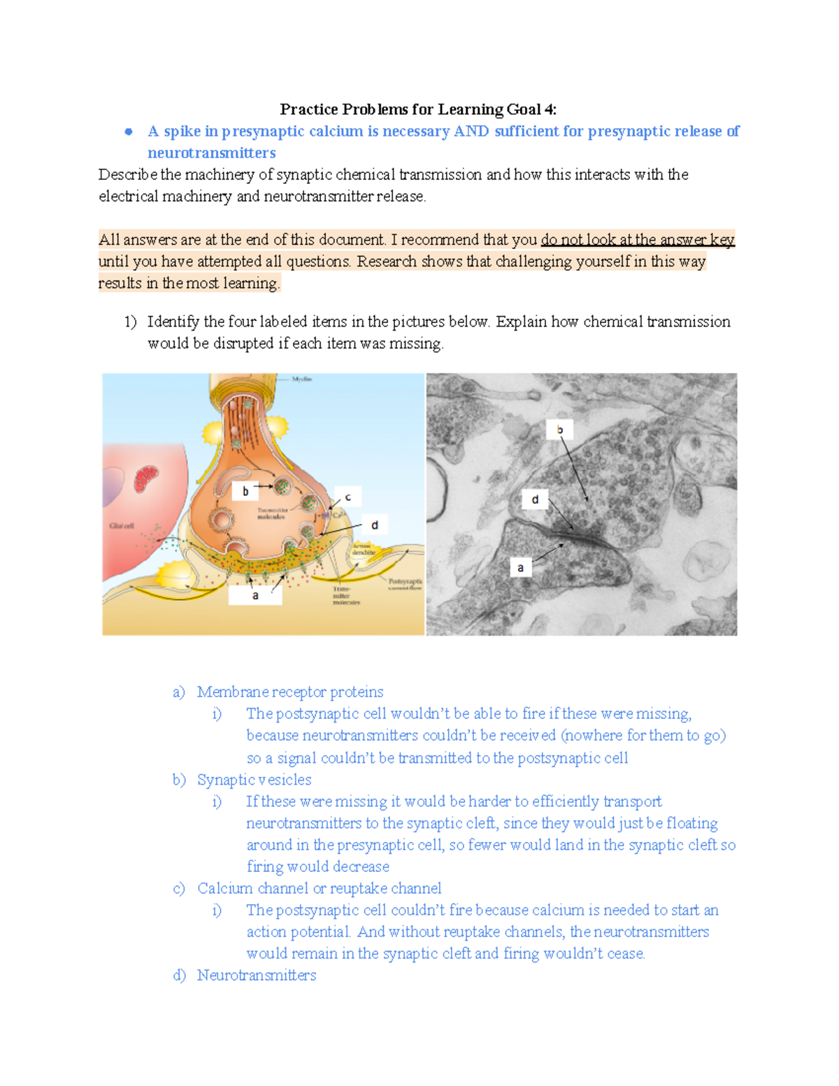 Learning Goal 4 Practice Problems - Practice Problems for Learning Goal 4: A spike in ...