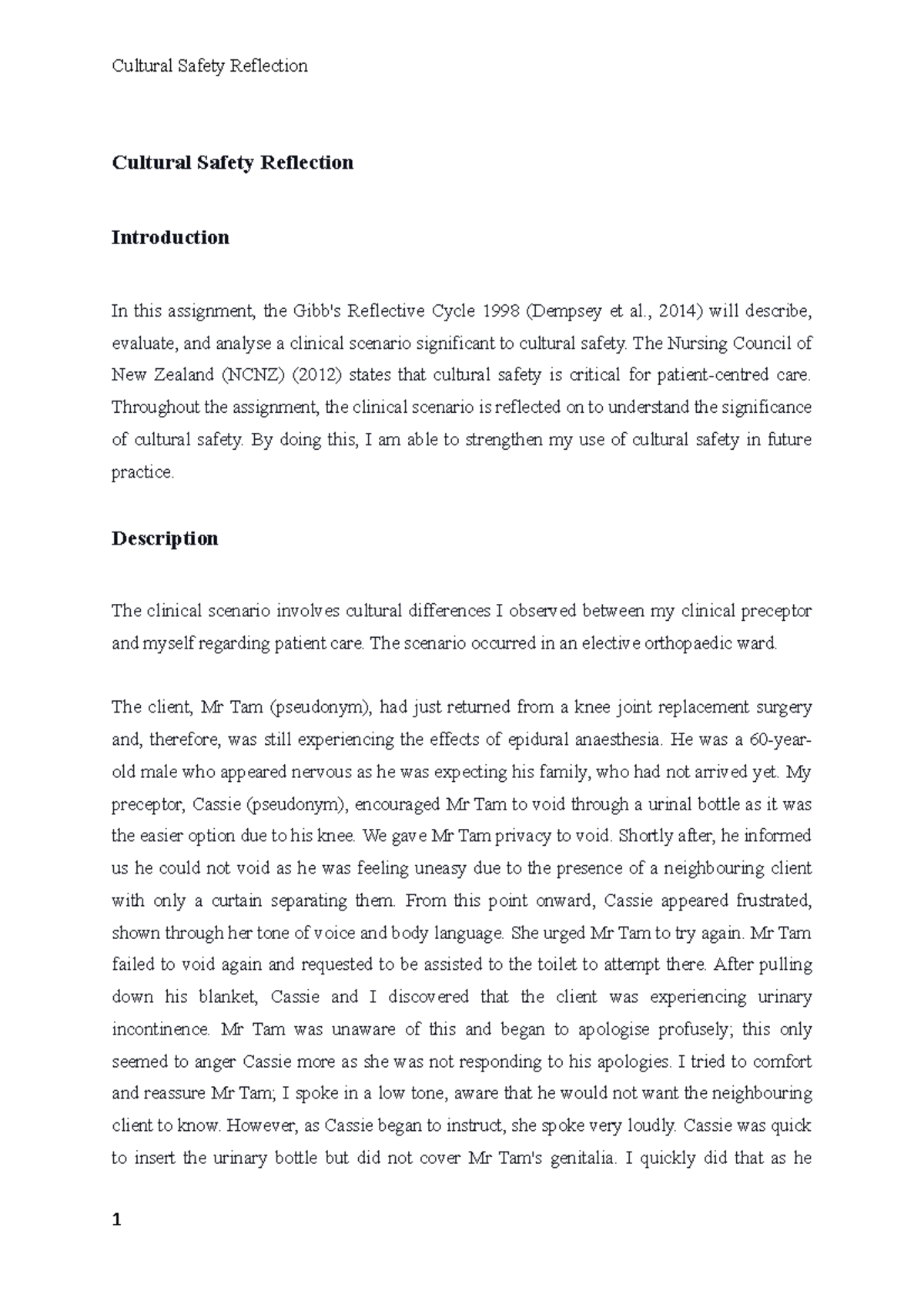 Cultural Safety Reflection - Cultural Safety Reflection Introduction In ...