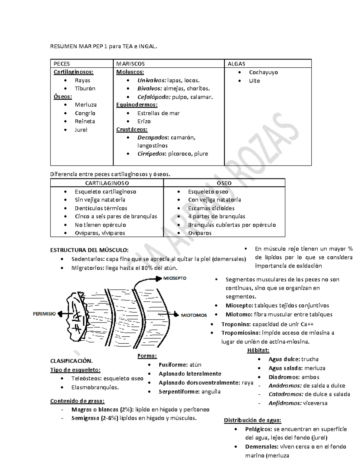 Bioquimica II Pescados - Warning: TT: undefined function: 32 Segmentos musculares de los peces ...