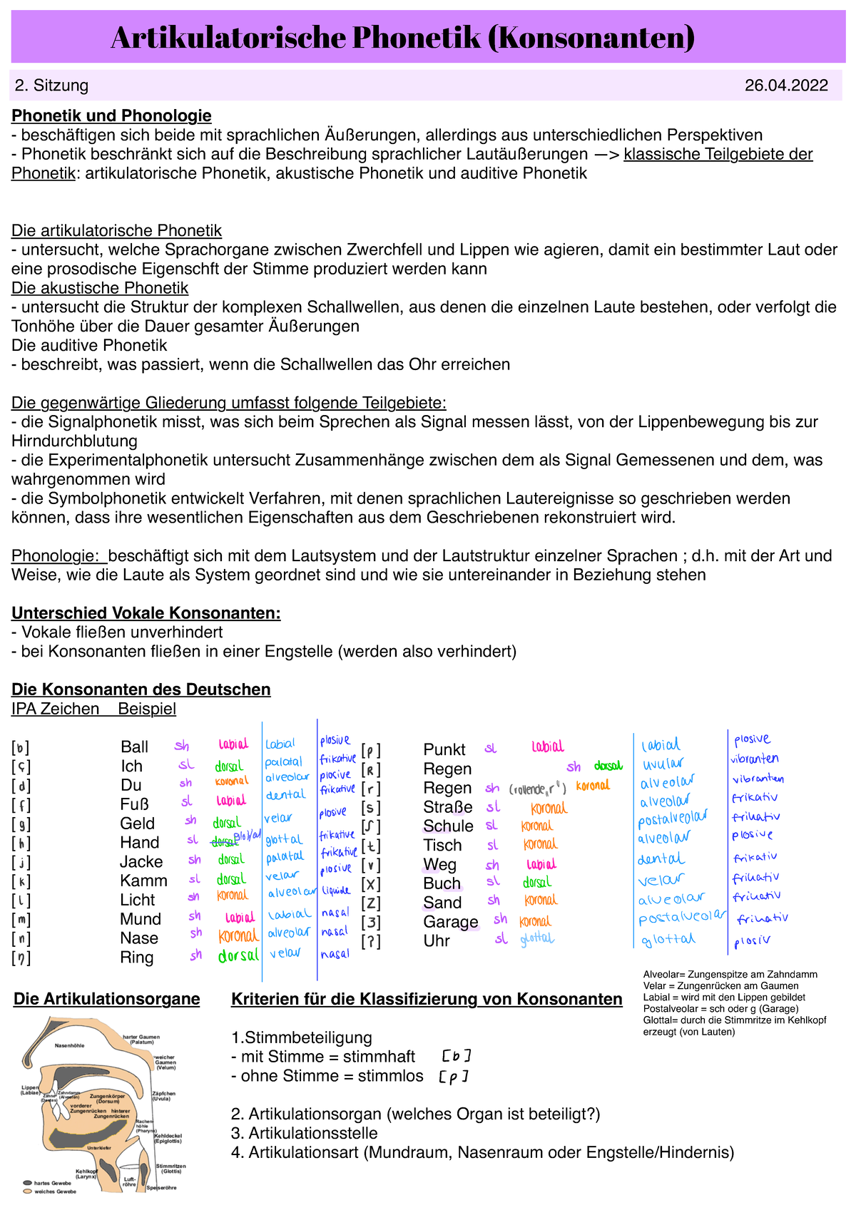 2. Sitzung - Sommersemester 2022 - Artikulatorische Phonetik ...