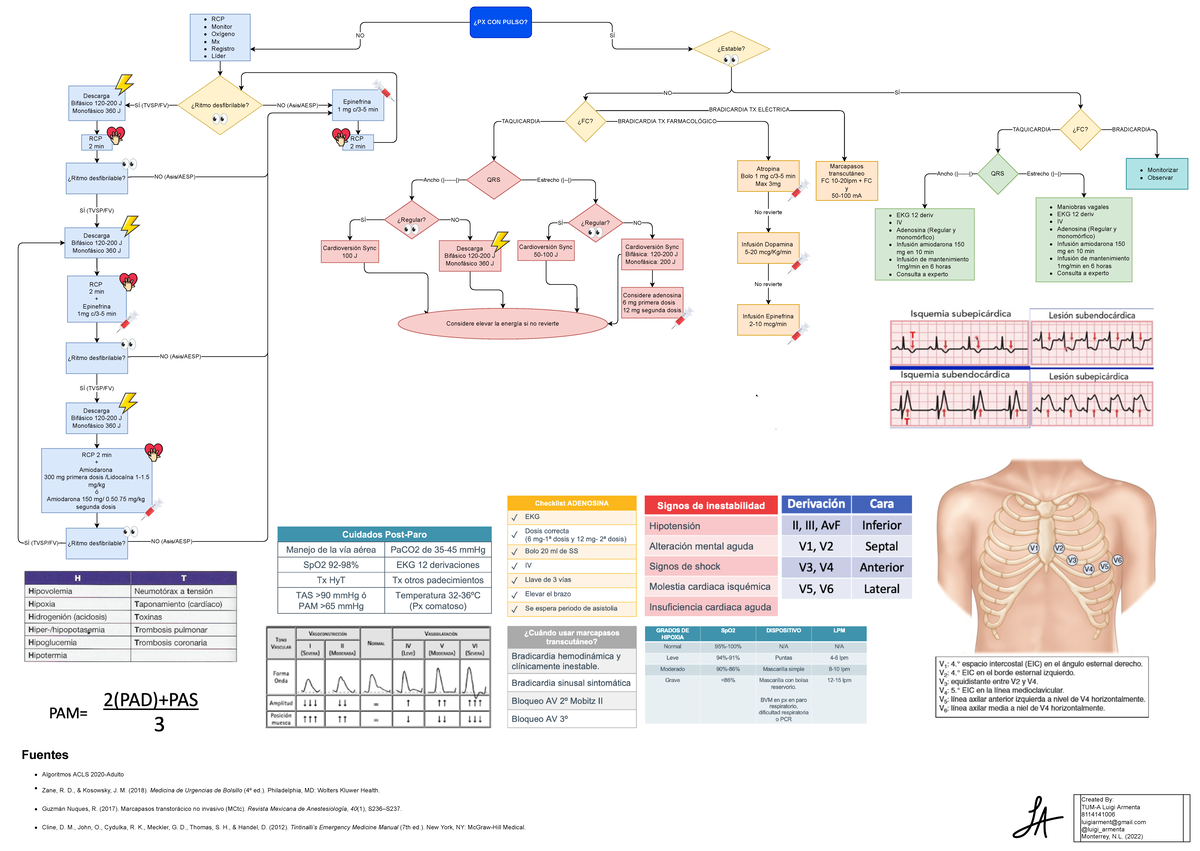 ACLS - NO SÍ RCP Monitor Oxígeno Mx Registro Líder SÍ (TVSP/FV) ¿Ritmo ...