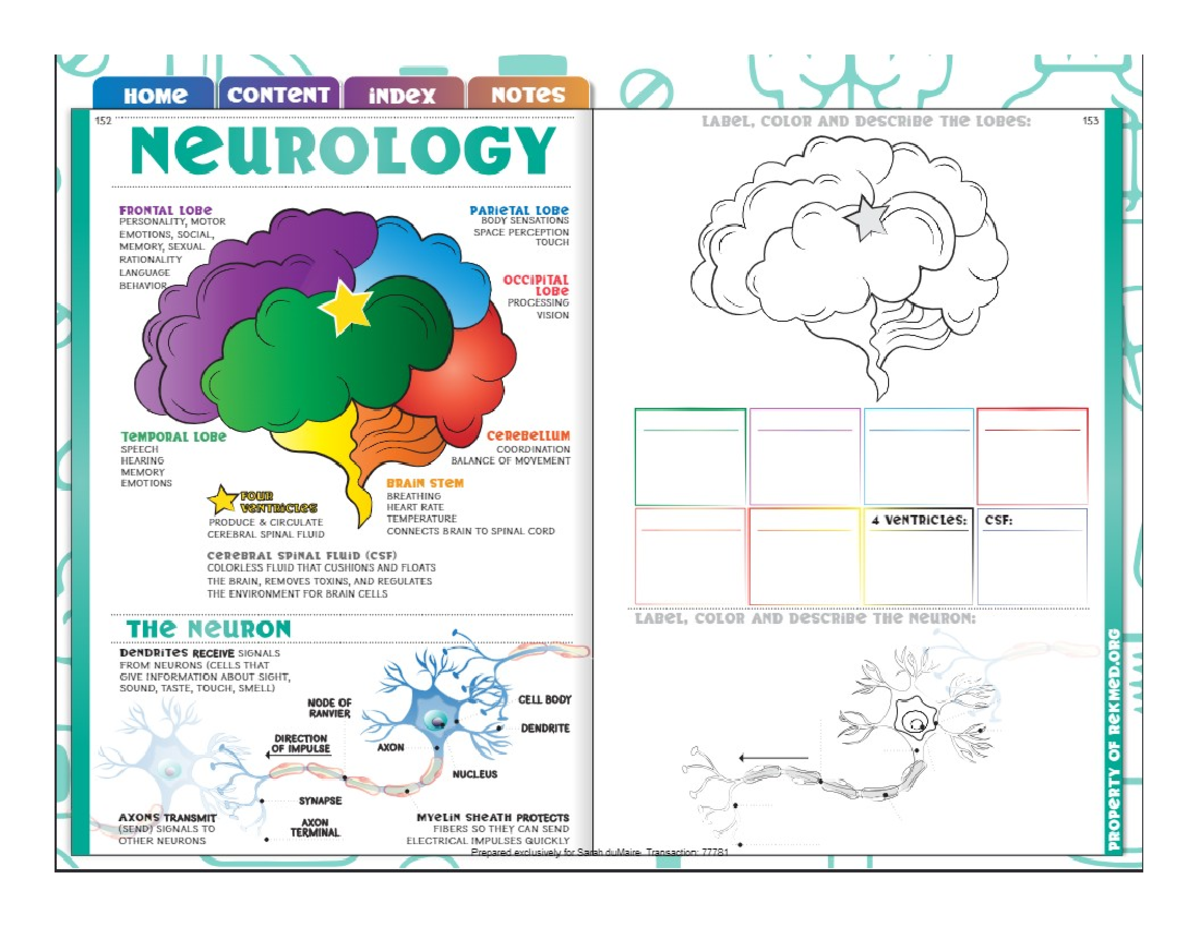 Neuro study guide - NUR207 - Studocu