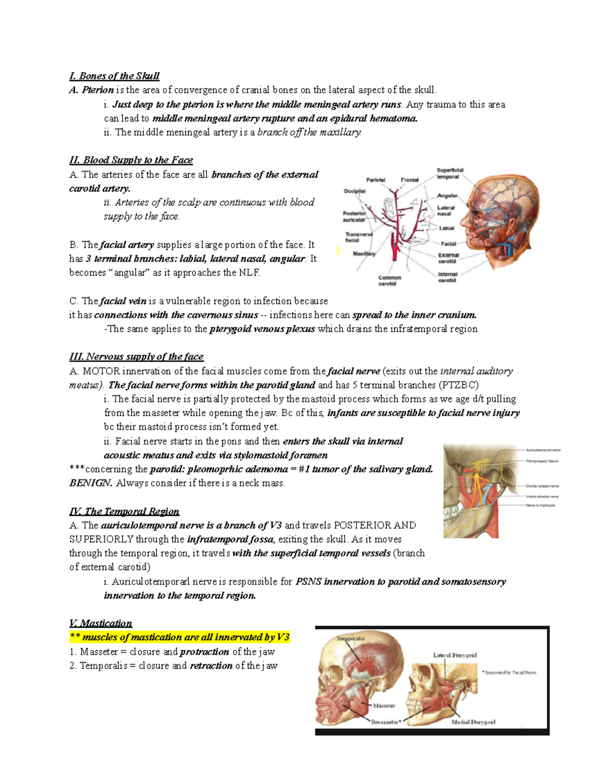 HY HNSS GA Niblets - Head and Neck Anatomy - I. Bones of the Skull A ...