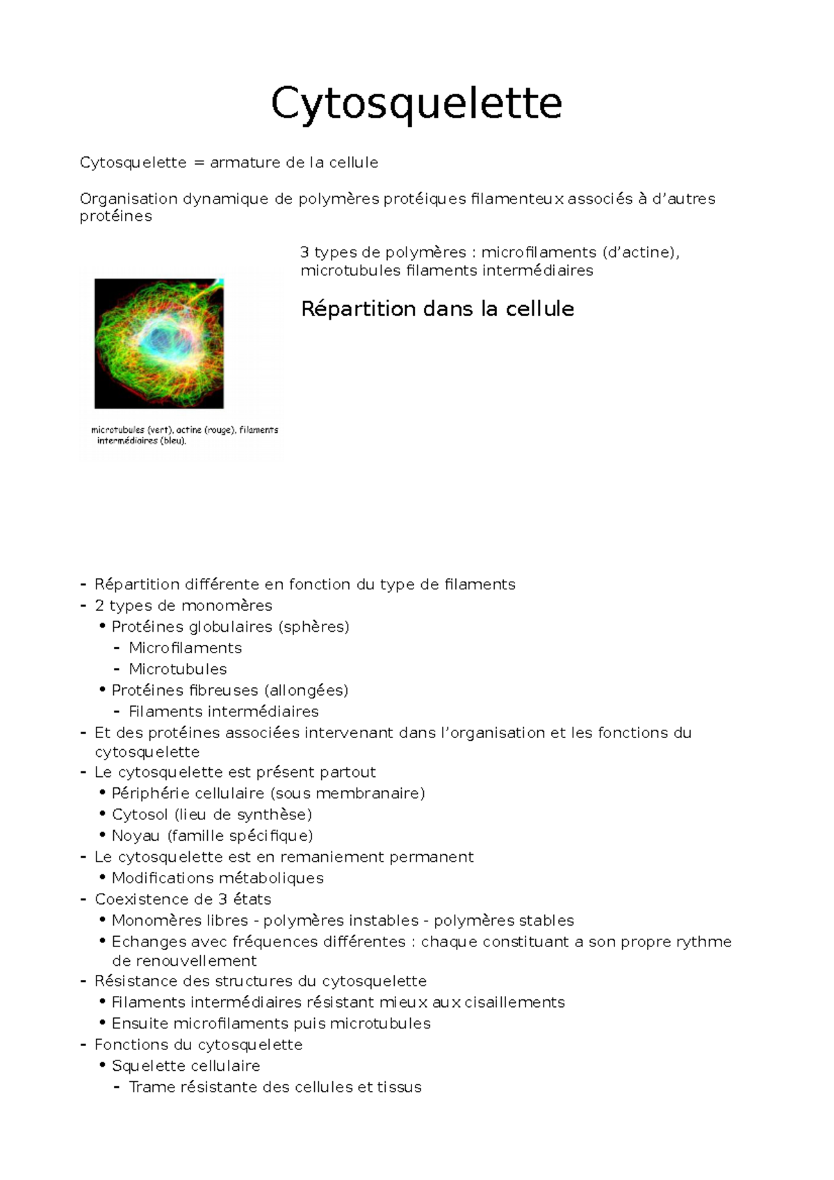 Cytosquelette - Notes de cours 4 - Cytosquelette Cytosquelette ...