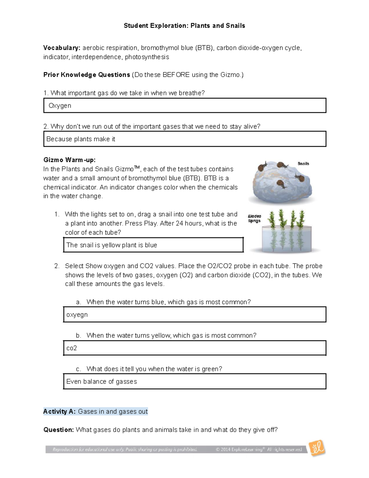 Gizmos Plants and Snails - Vocabulary: aerobic respiration, bromothymol ...