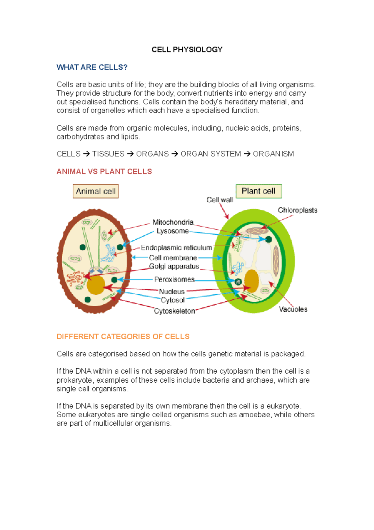 CELL Physiology - cell notes - CELL PHYSIOLOGY WHAT ARE CELLS? Cells ...