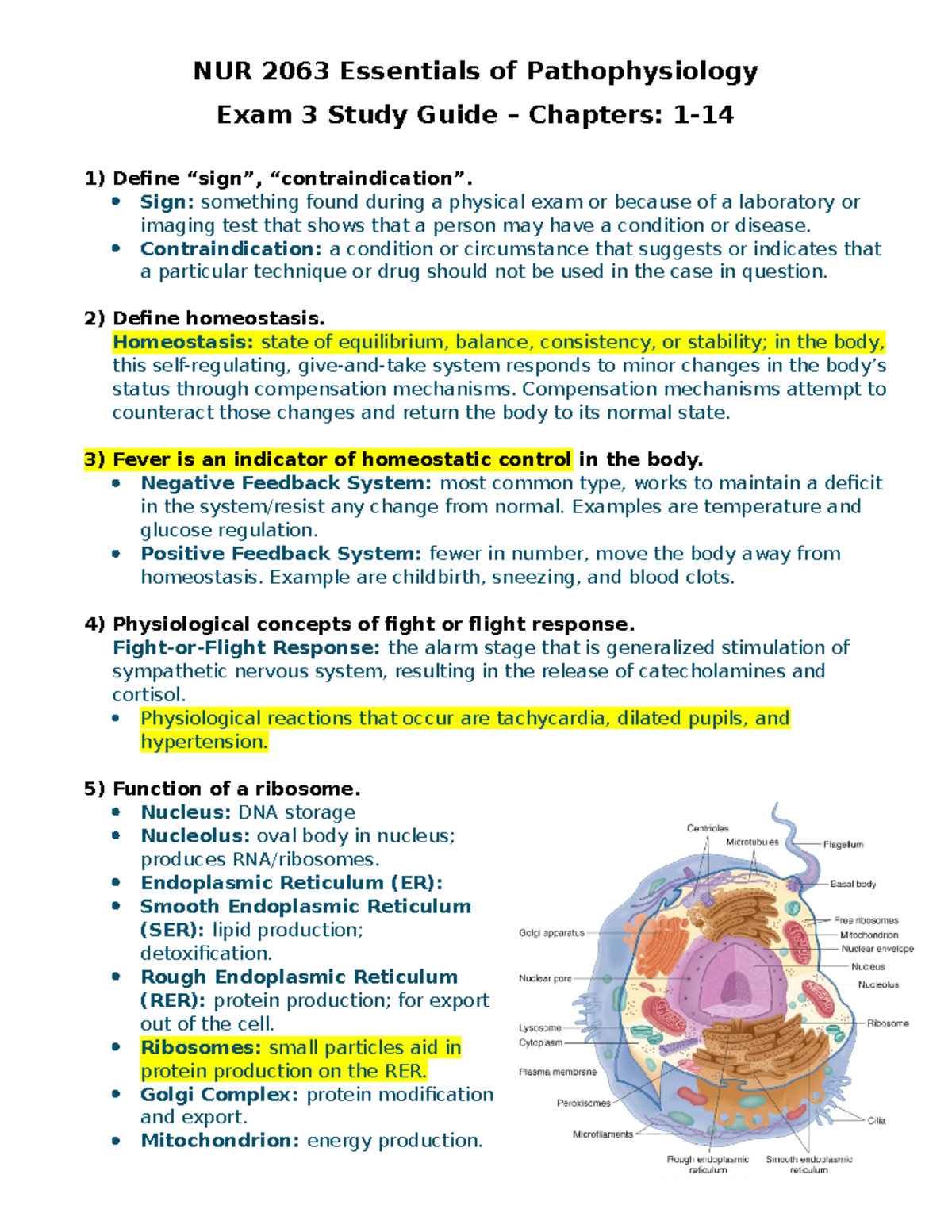 Path Study Guide 3 - Summary Essentials of Pathophysiology - NUR 2063 ...