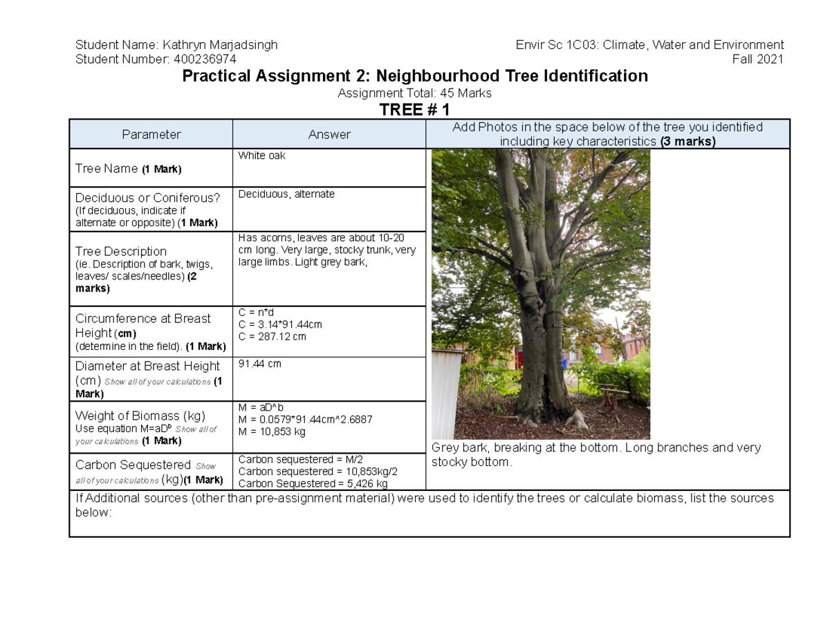 Practical Assignment 2 - Neighbourhood Tree ID - Student Name: Kathryn ...
