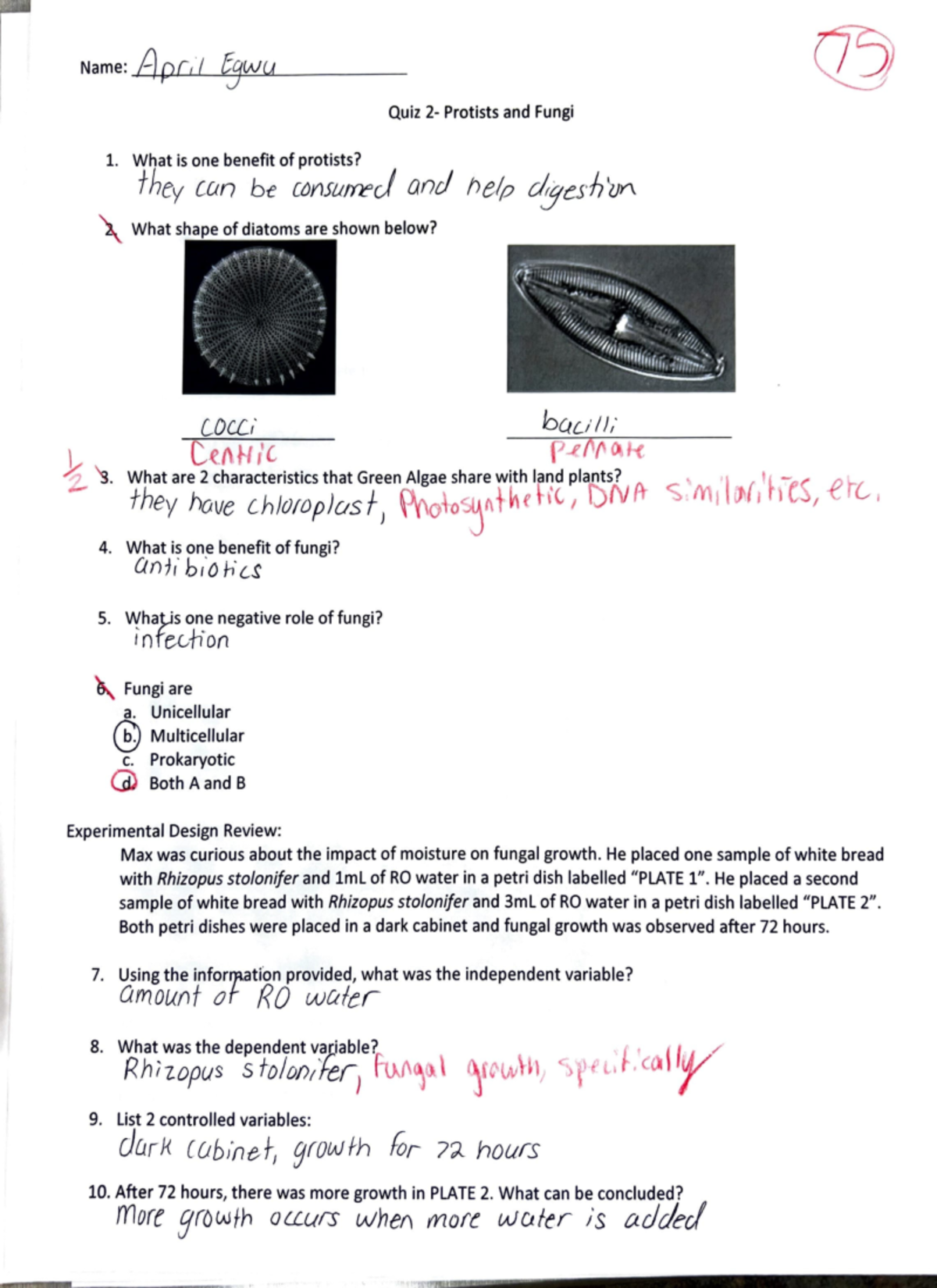 Quiz 2 Protists and Fungi -aMilht& Name: ApD I t:;wu Quiz 2- Protists ...