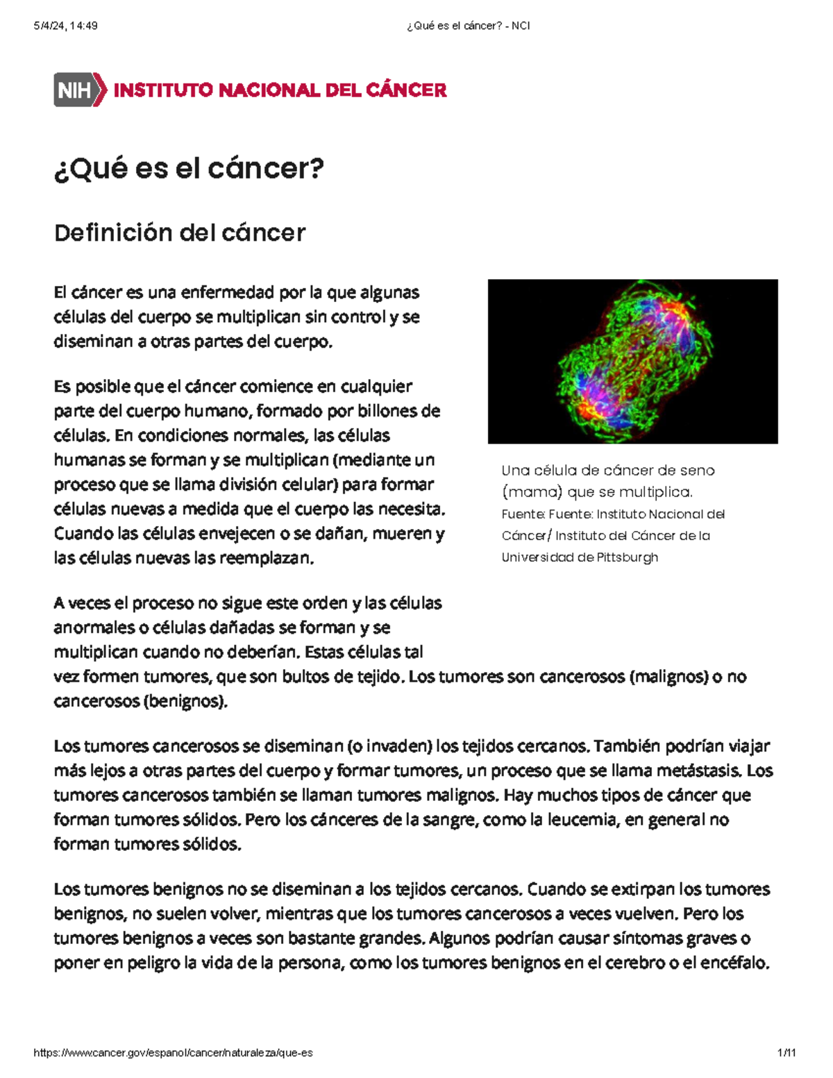 ¿Qué es el cáncer - NCI - ¿Qué es el cáncer? Definición del cáncer El ...