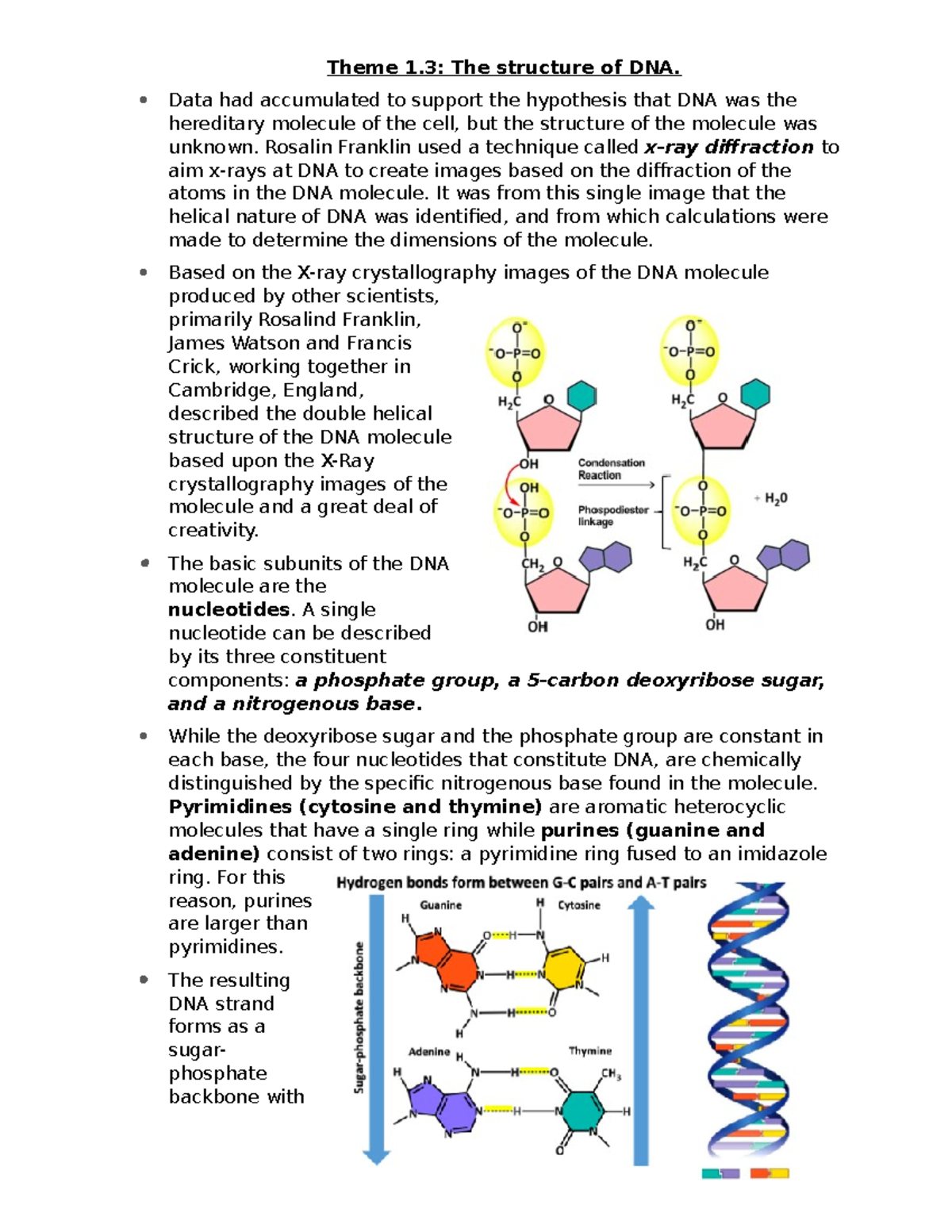 Theme 1.3 Nucleic acids and DNA - Lecture notes 5 - Theme 1: The ...
