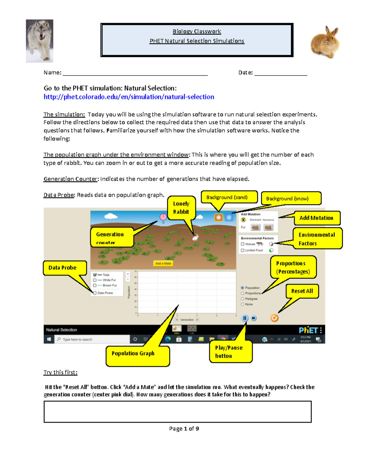 Natural Selection PHET Directions PDF Name natural-selection-phet-directions-pdf-name