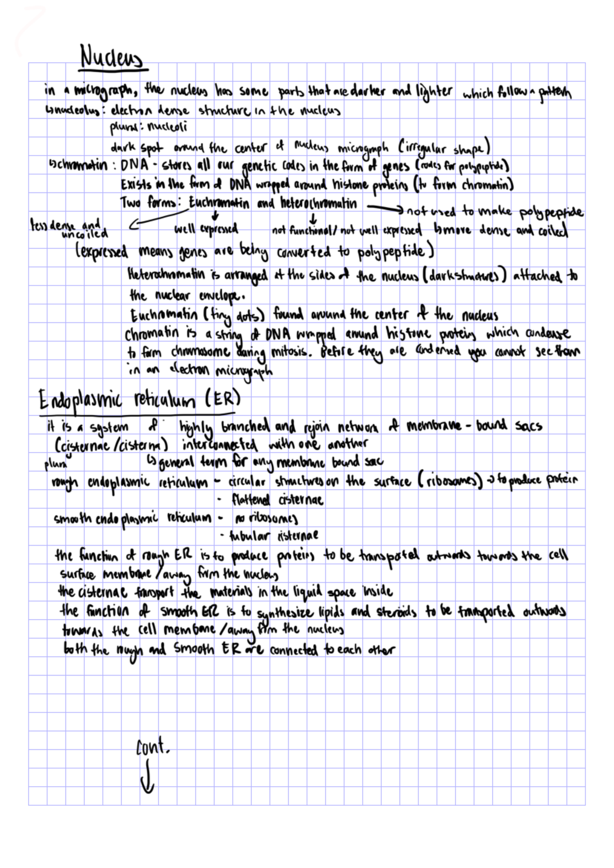 Copy of Ch 1 Cell Structure - Nucleus in a micrograph, the nuclear has some parts that aredarher ...