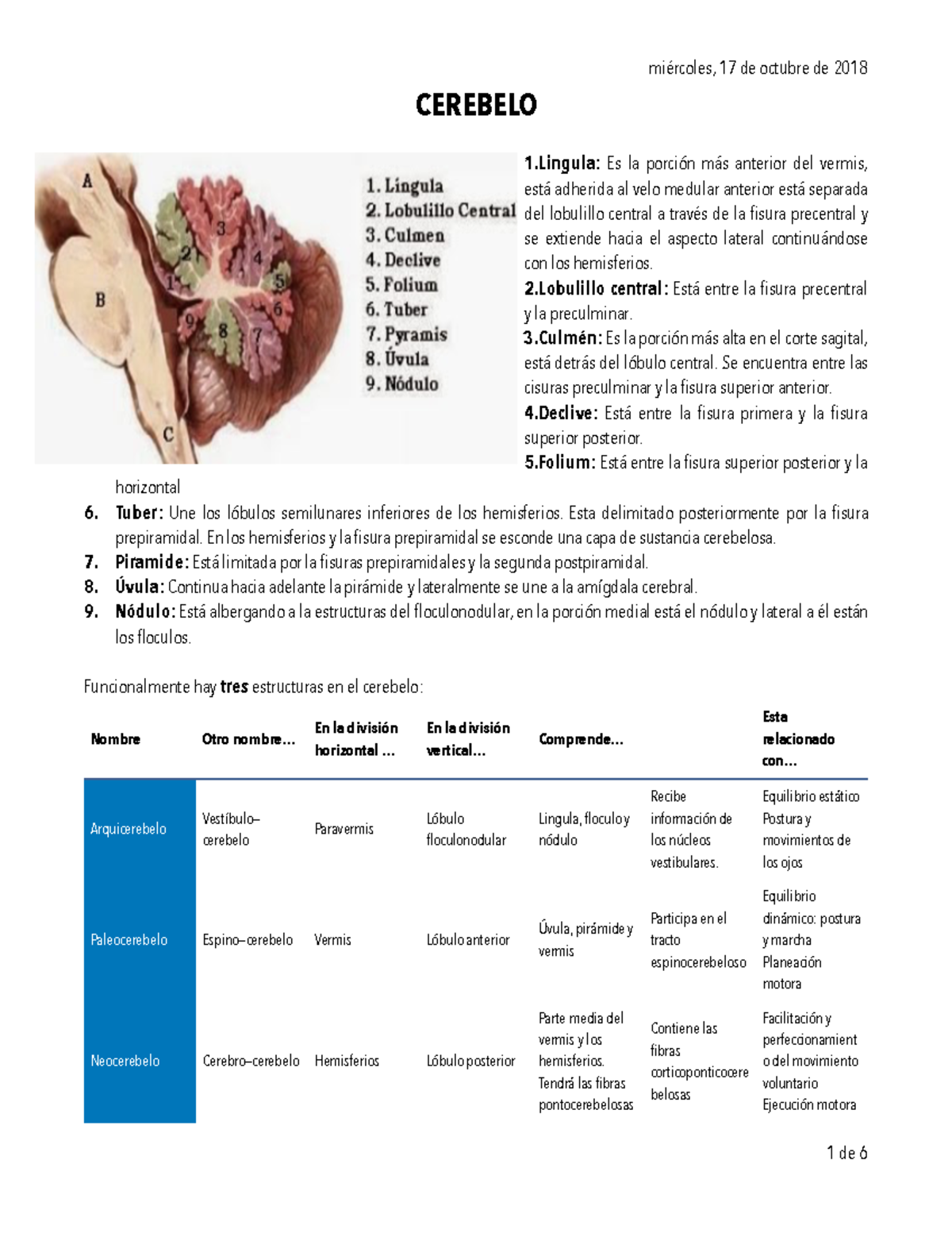 Cerebelo - 17 de octubre de 2018 CEREBELO 1: Es la anterior del vermis ...