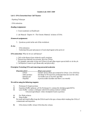 Lab 6 Hwk Answers - 1 Genetics Lab: Homework answers Lab 6: Drosophila ...