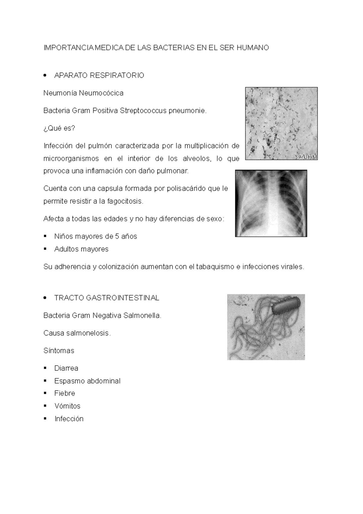 Articulo 5 bacter - IMPORTANCIA MEDICA DE LAS BACTERIAS EN EL SER ...
