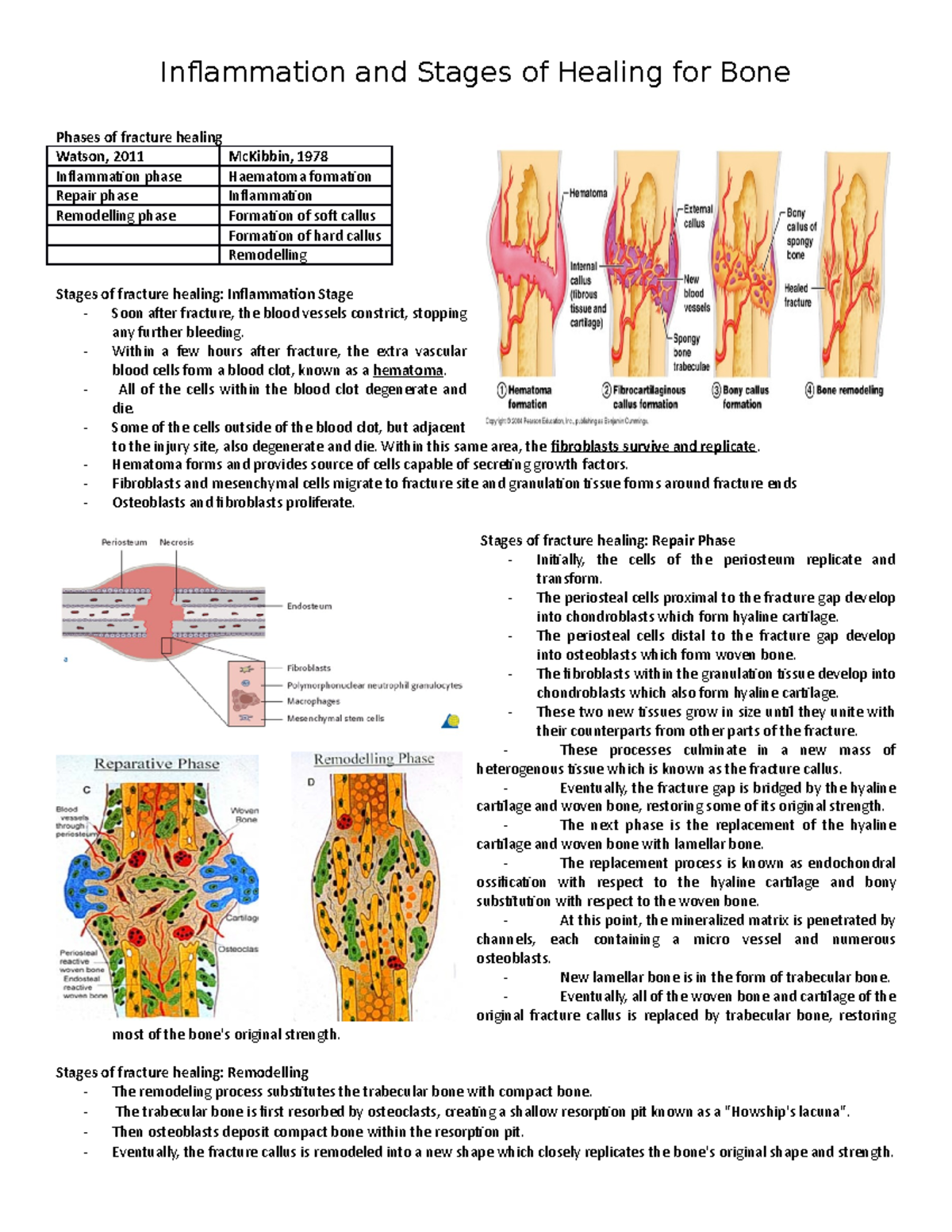 5. Inflammation and Stage of Healing for Bone - Inflammation and Stages ...