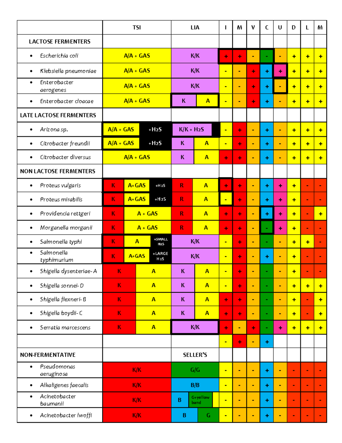 Biochem Tests - Enterobactericiae (colored) - TSI LIA I M V C U D L M ...