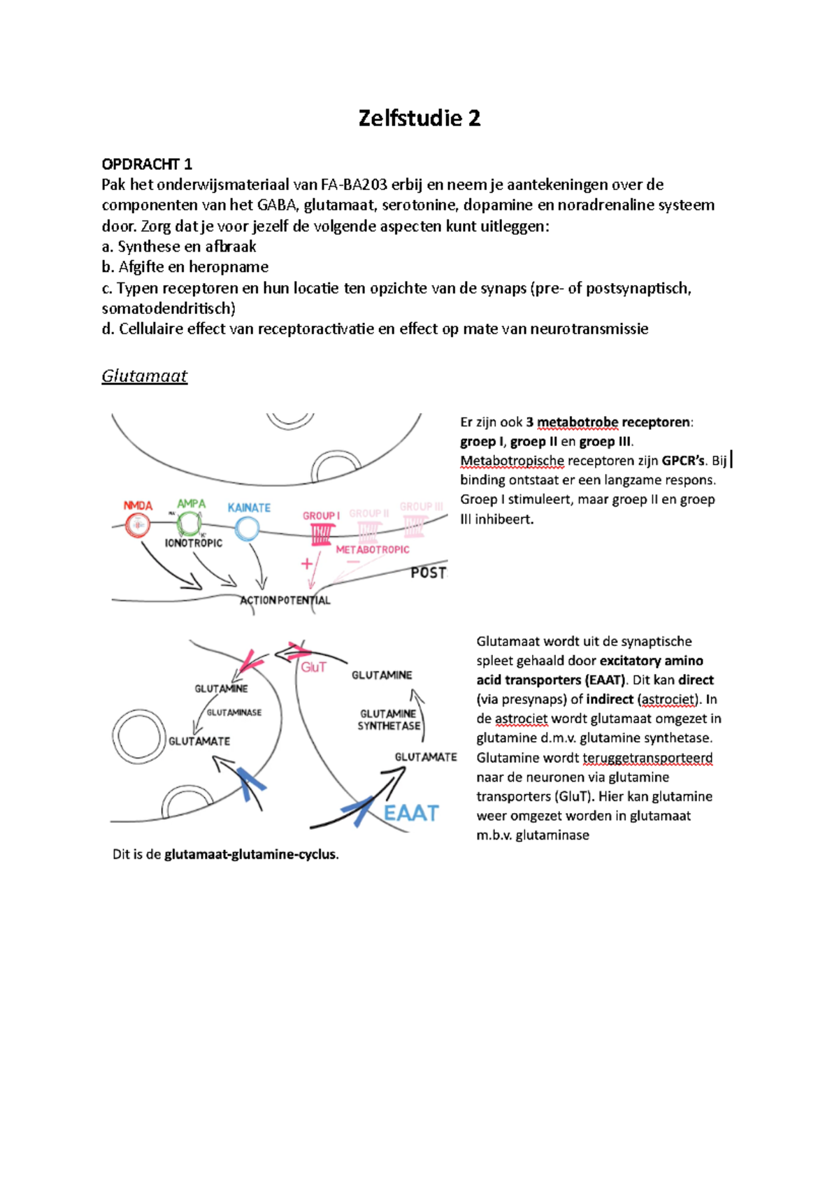 Zelfstudie 2 - uitwerking - Zelfstudie 2 OPDRACHT 1 Pak het ...