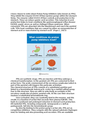 [Solved] What term describes a group of species that evolved from a ...