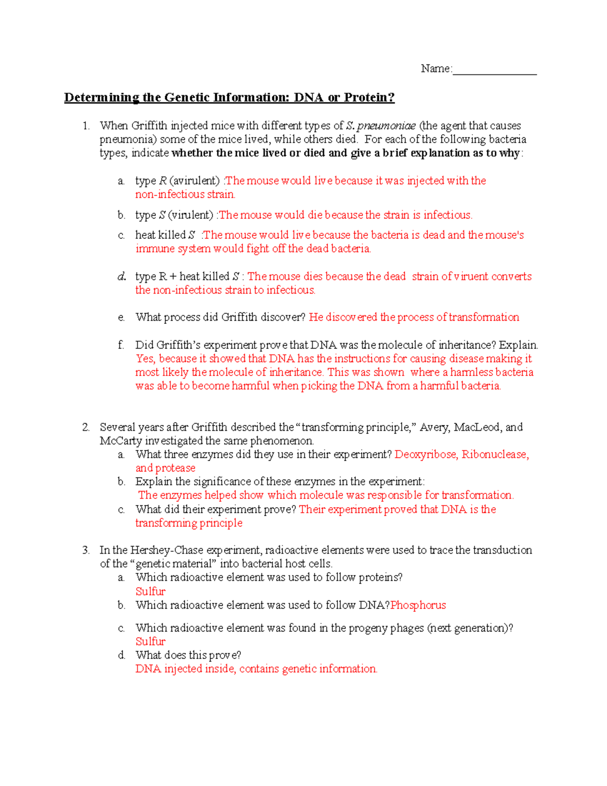Copy of dna experiment qs copy.docx - Name:______________ Determining ...