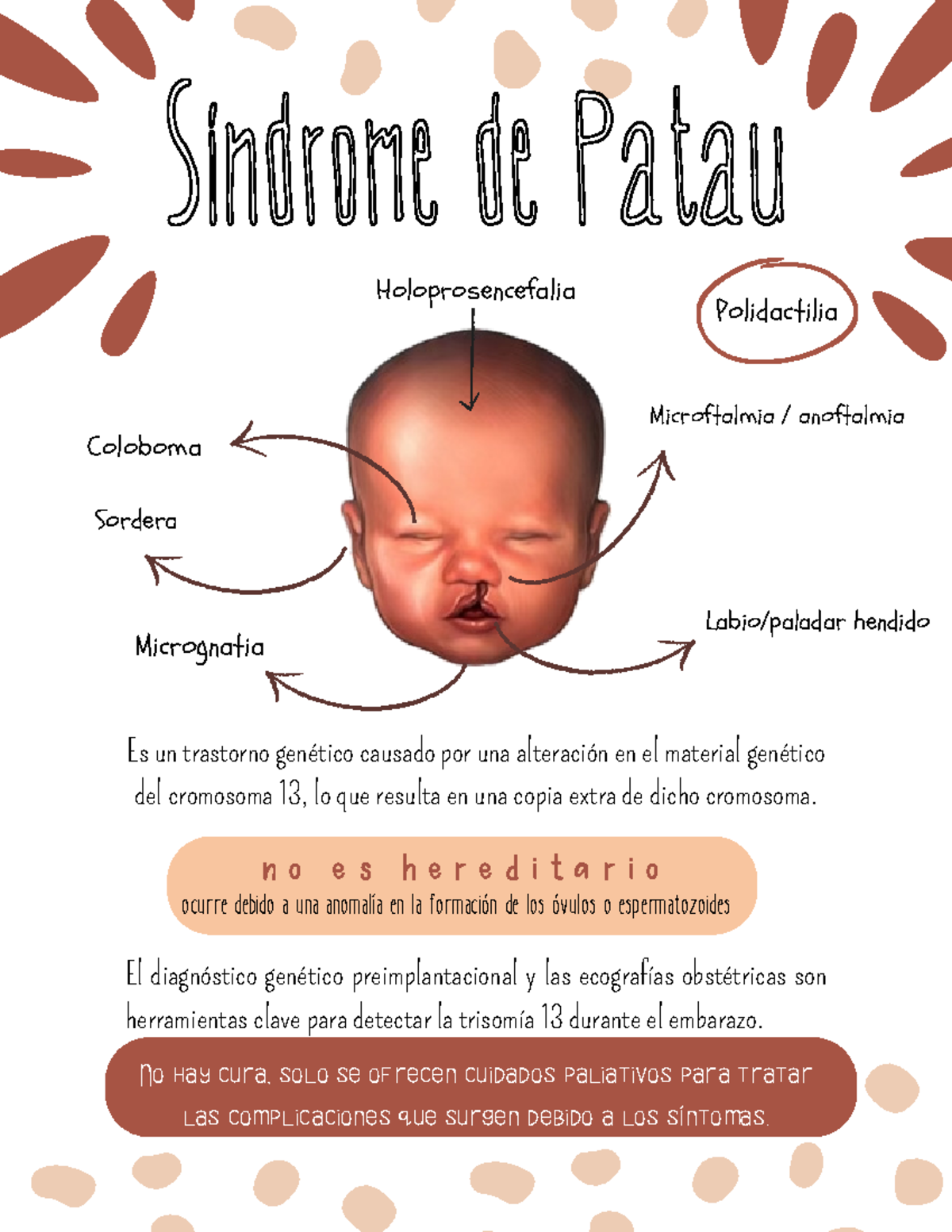 Sindrome de Patau - Es un trastorno genético causado por una alteración ...