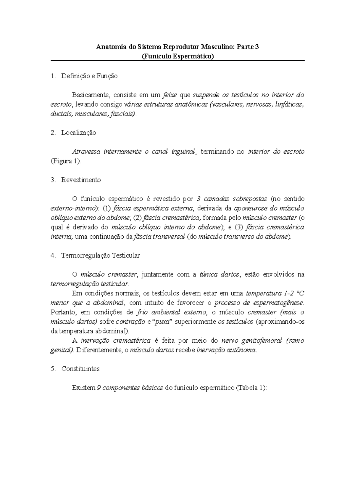 Anatomia do Funículo Espermático - Anatomia do Sistema Reprodutor ...