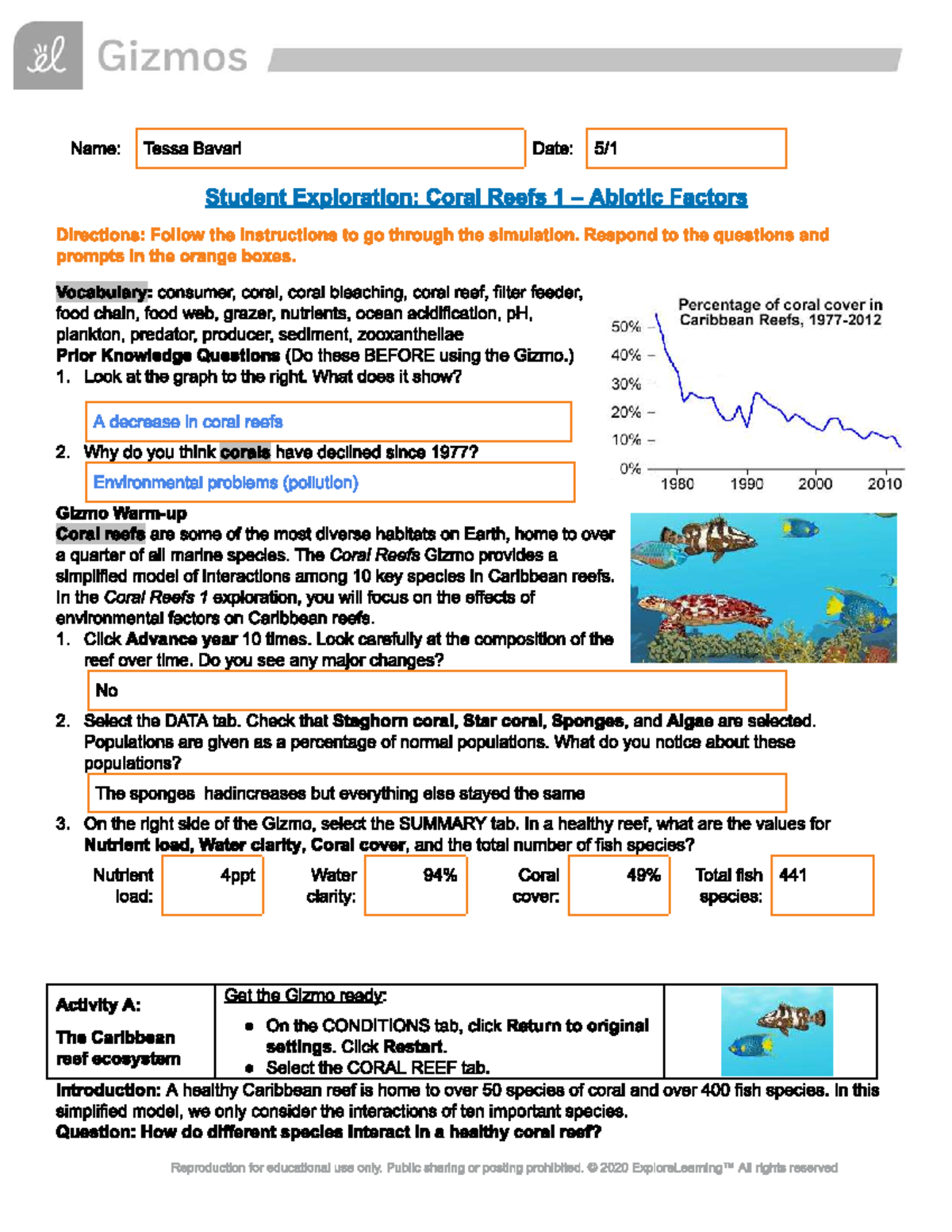 Coral reef gizmos - Studocu
