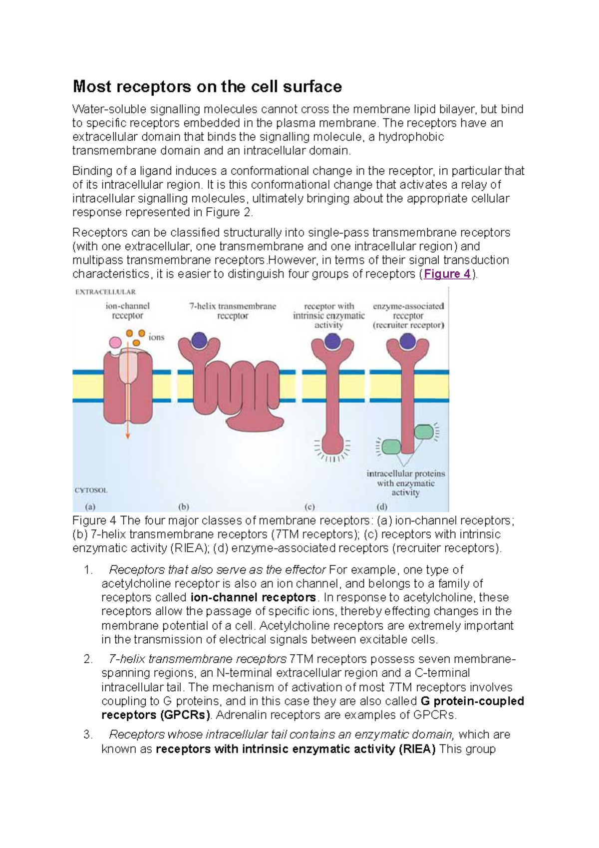 Most receptors on the cell surface - Most receptors on the cell surface ...