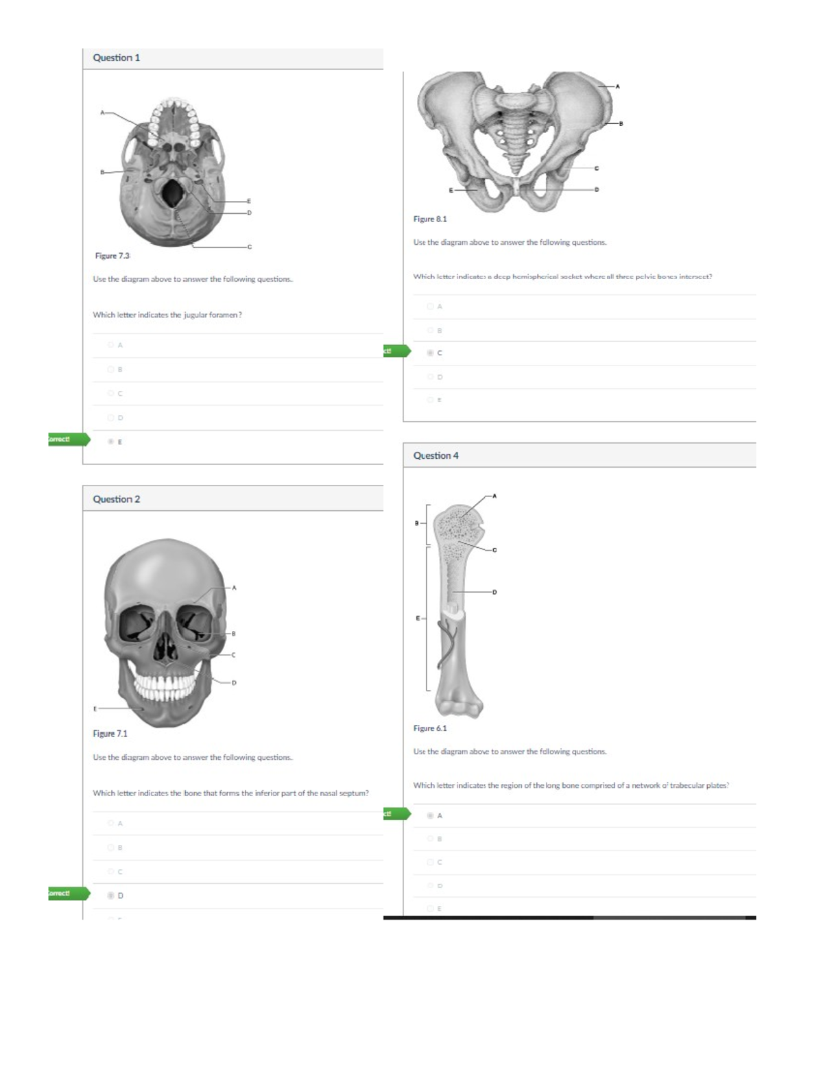 Anatomy Week 5 Activity Quiz - SCI 220 - Studocu
