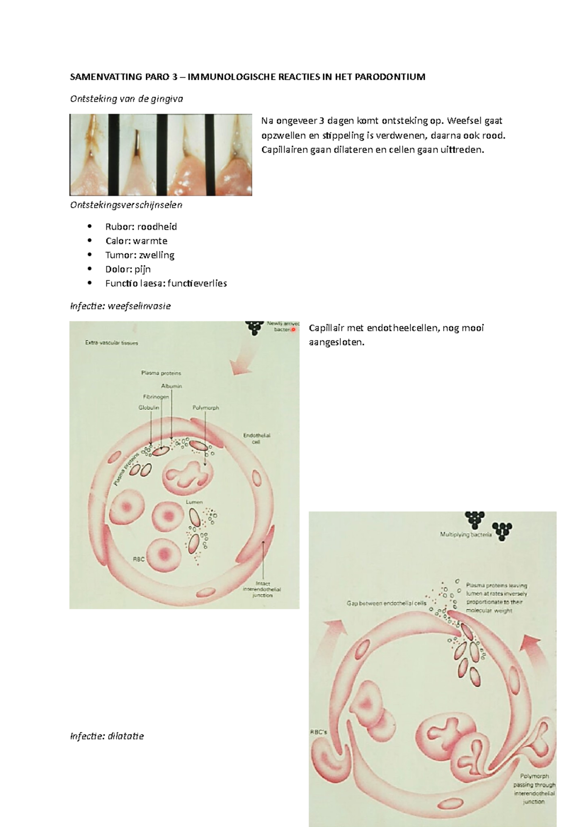 Samenvatting PARO 3 - Immunologische reacties in het parodontium ...