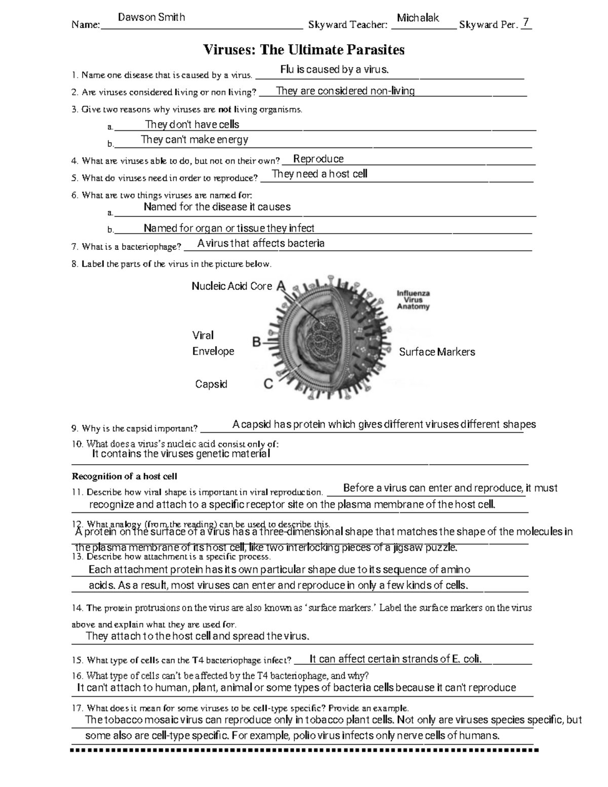 Copy of Xavier gonzalez virus worksheet - Name ...