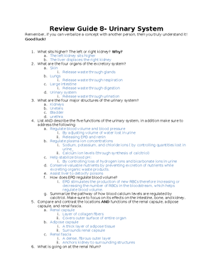 Review Guide 9- Reproductive System - Review Guide 9- Reproductive ...